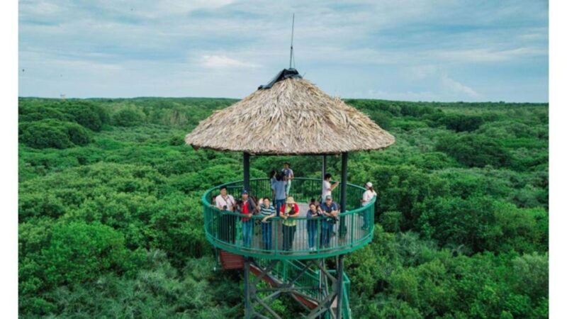 Ho Chi Minh: Private Can Gio Mangrove Forest Day Tour - Ho Chi Minh: Private Can Gio Mangrove Forest Day Tour — A Detailed Review