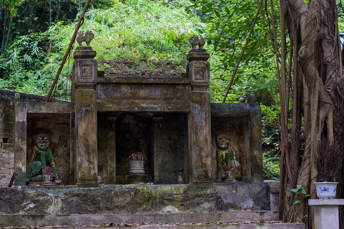 Hoa Lu - Mua Cave - Tam Coc/Trang An - DELUXE Small Group Tour - An Overview of the Experience