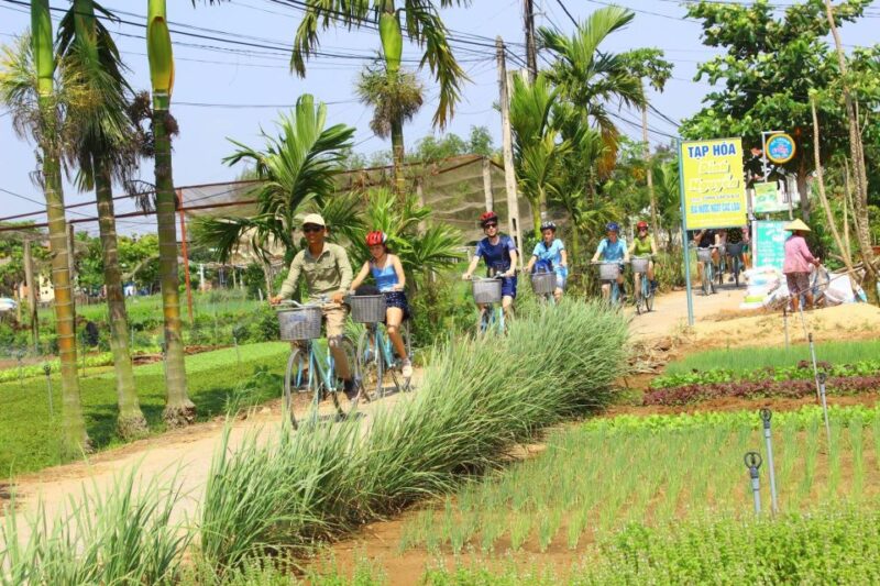 Hoi An Biking Around and Basket Boat Ride. - Key Points