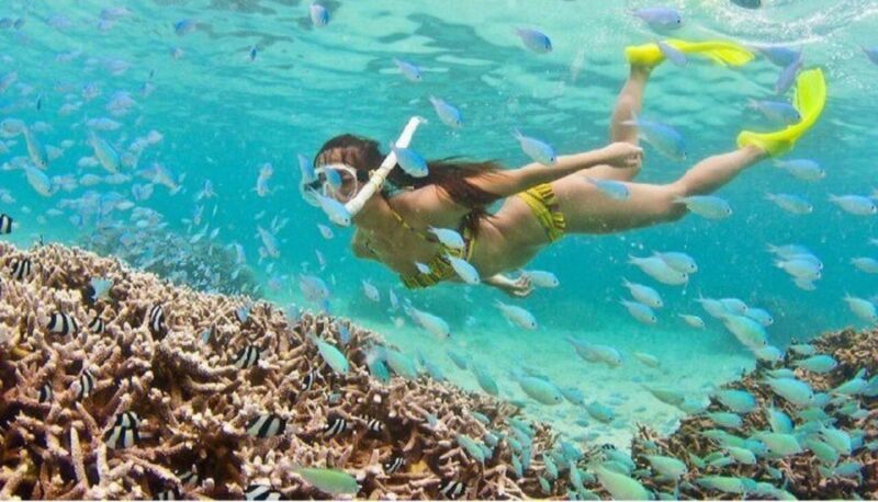 Hoi An: Cham Islands Snorkeling Trip by Speedboat with Lunch - Key Points