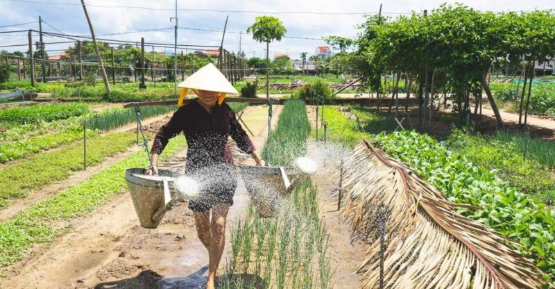 Hoi An: Countryside- Basket Boat & Cooking Class in Tra Que - Exploring Hoi An’s Countryside: Basket Boat & Cooking Class in Tra Que