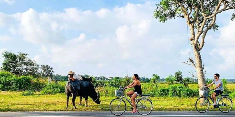 Hoi An: Countryside Bicycle Tour with Farm, Basket Boat Ride - Key Points