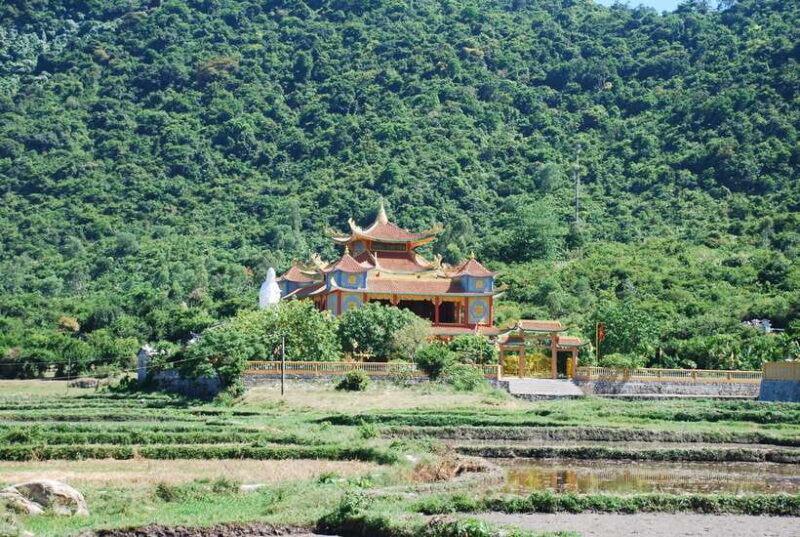 Hoi An/ Da Nang: Cham Island Discovery Tour - Introduction