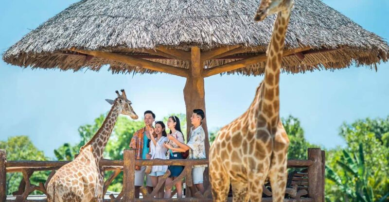 Hoi An: Vinwonders Nam Hoi An Theme Park Entry Ticket - Introduction: What’s the Deal with Vinwonders Nam Hoi An?