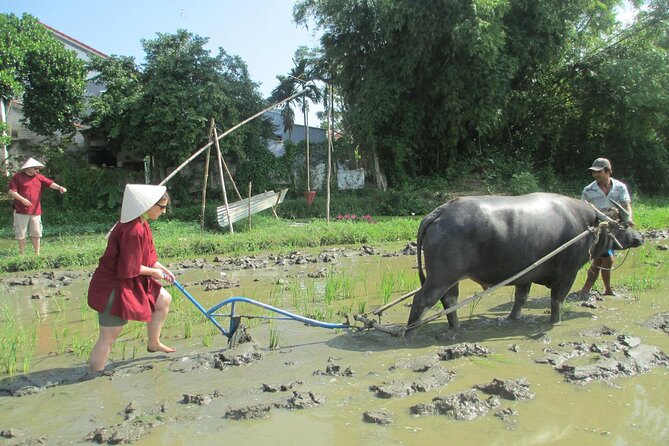 Hoi An Wet Rice Farming Tour Private Round Boat Fishing & Lunch - A Closer Look at the Itinerary and What You Can Expect