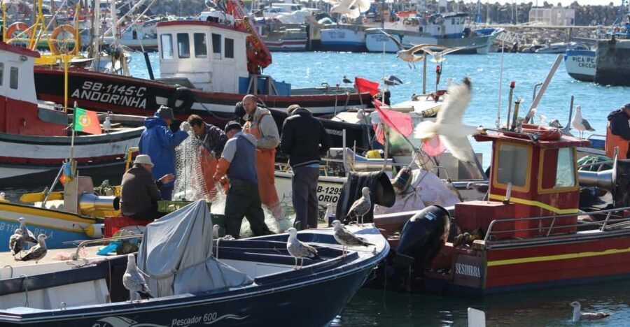 Hooked on Sesimbra - Analyzing the Experience’s Value