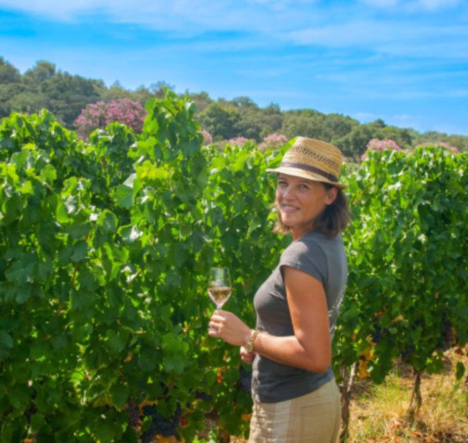 Horse back riding + wine tasting in Ramatuelle - Introduction