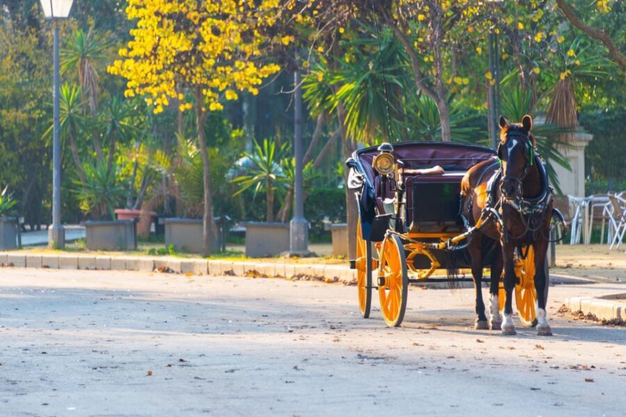 Horse-Drawn Carriage Ride Through Seville - Who Should Consider This Tour?
