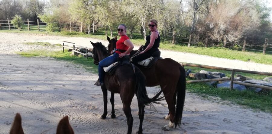 Horse-Drawn Carriage Route Through Doñana Park and The Villa - The Experience: What Travelers Say