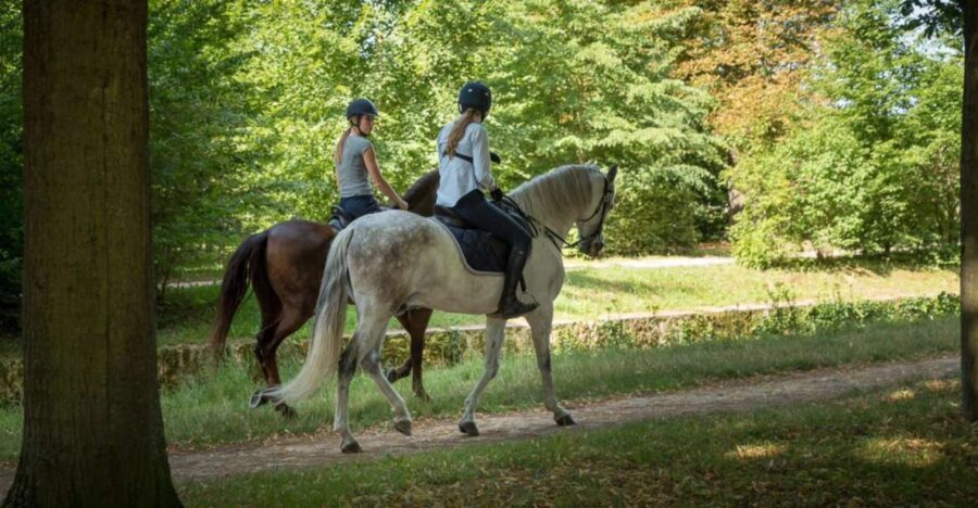 Horse ride Versailles Intimacy & ViP - The Itinerary in Detail