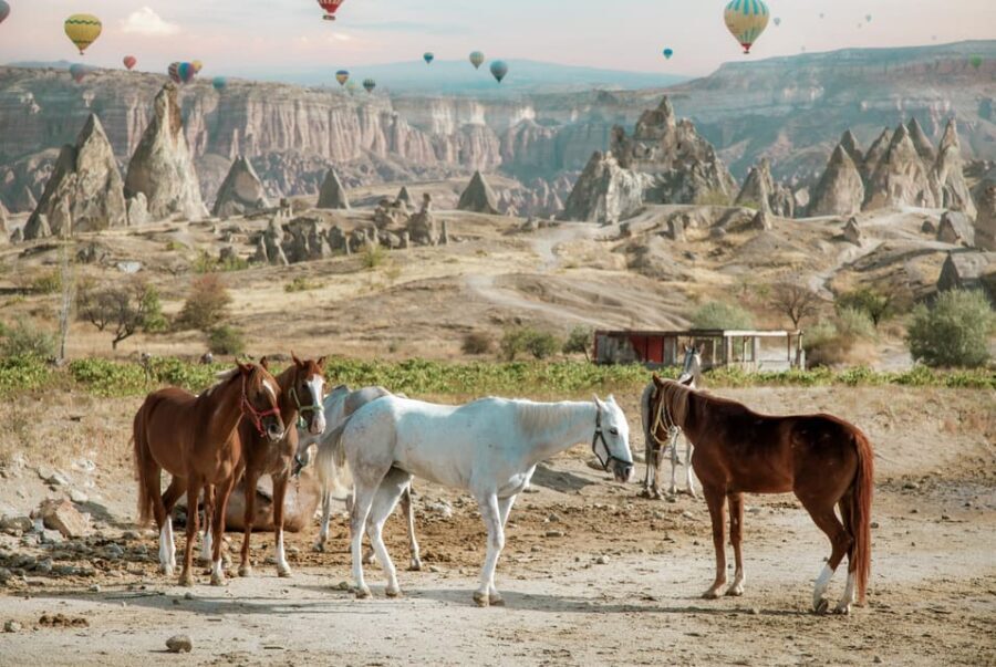 Horse Riding Cappadocia- Cappadocia Horse Farm - Final Thoughts
