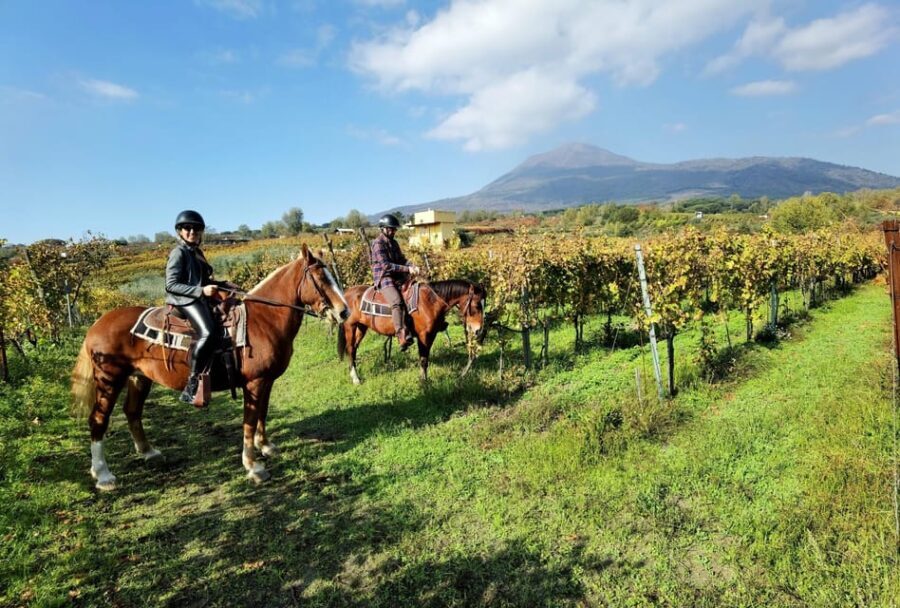 Horse Riding Experience on Vesuvius w/ Wine Tasting - Why This Tour Represents Good Value