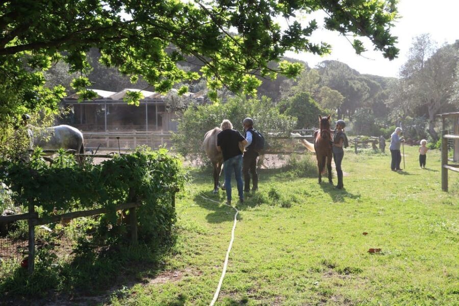 Horse riding in the Arrabida Valley, two hours - FAQ
