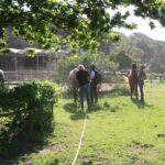 Horse riding in the Valley, near Lisbon - Practical Tips for Travelers