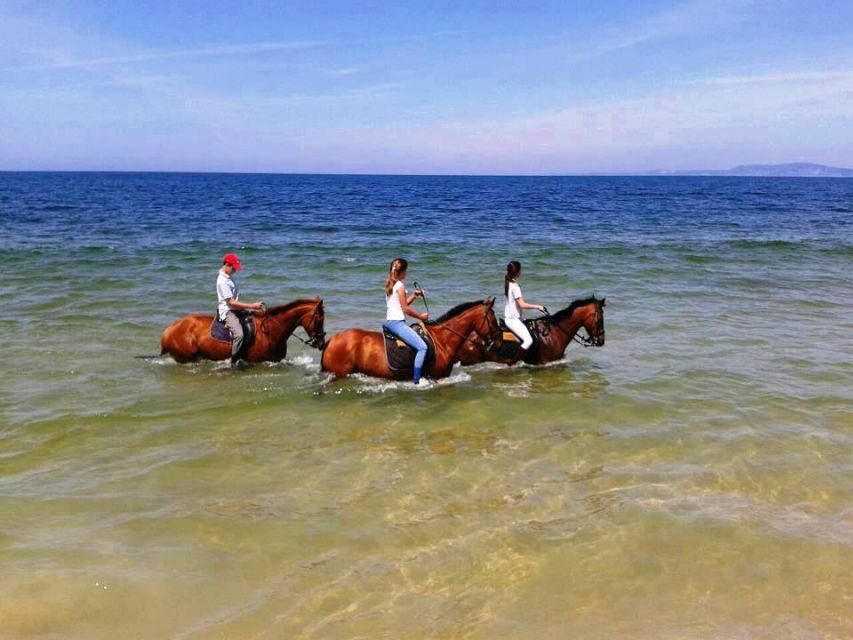 Horse riding on the beach, with private transfer from Lisbon - A Detailed Look at What to Expect