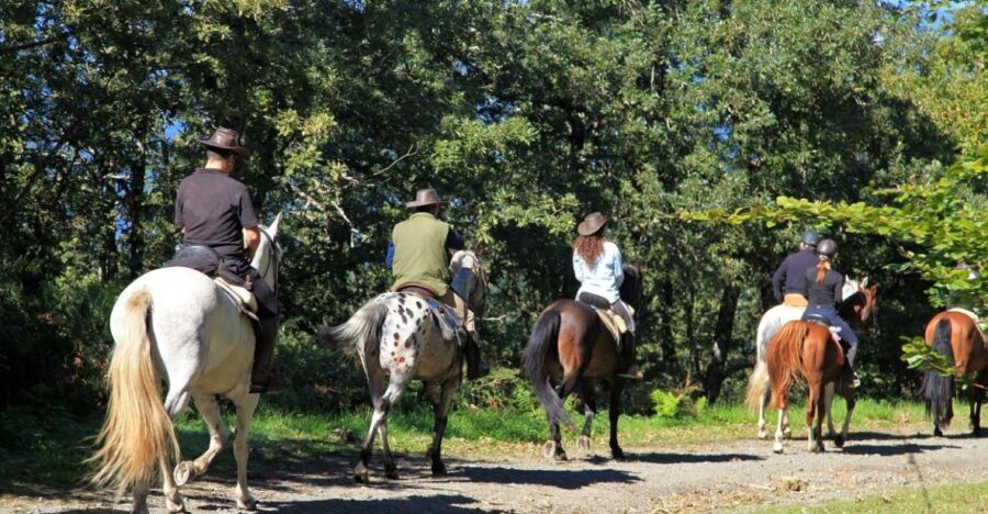 Horse Riding Through The valleys + food tasting - The Value of the Tour