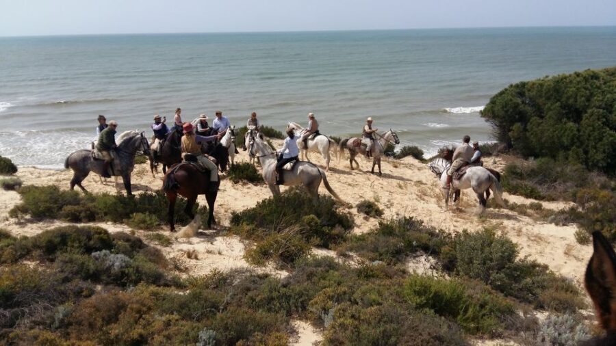 Horse-Riding Tour in Doñana National Park - Who Will Love This Tour?