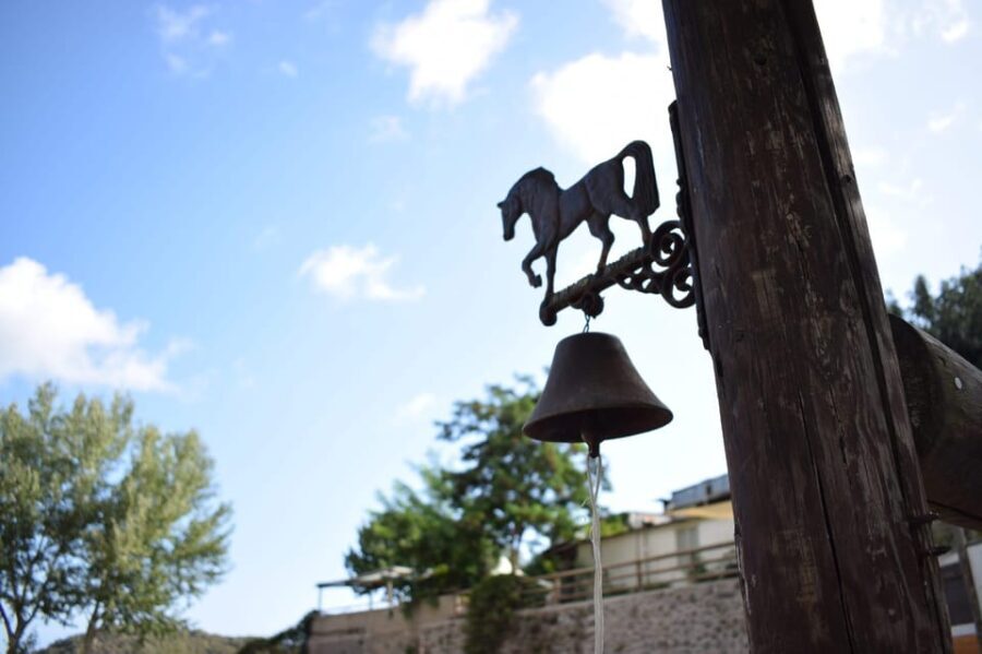 Horseback excursion in the Maddalena woods - Who Will Love This Experience?
