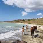 Horseback riding in the beaches of Sciacca - The Itinerary Breakdown