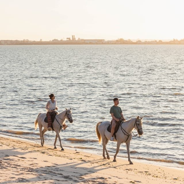 Horseback Riding On The Beach At Sunset - Detailed Breakdown of the Itinerary