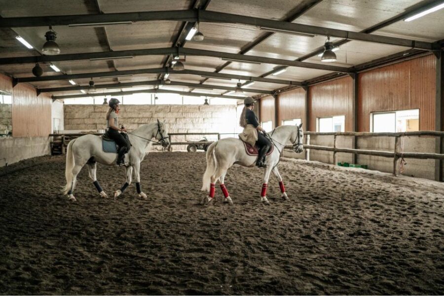 Horseback Riding Tour - Authentic Experiences and Traveler Insights