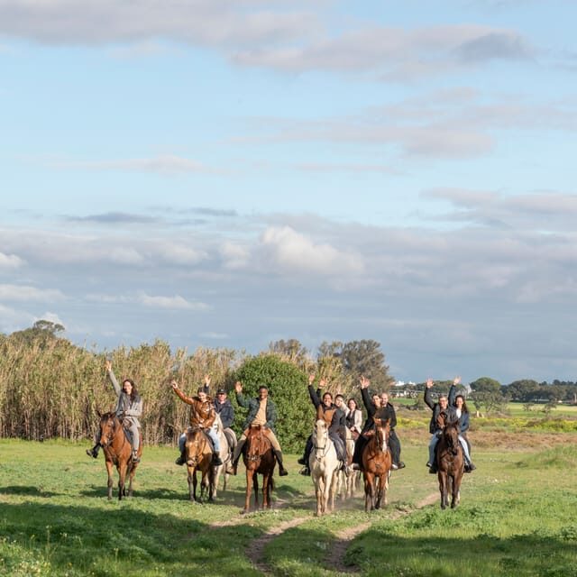 Horseback Riding Trough The Beach GROUP - PDT - Why It’s Worth Considering