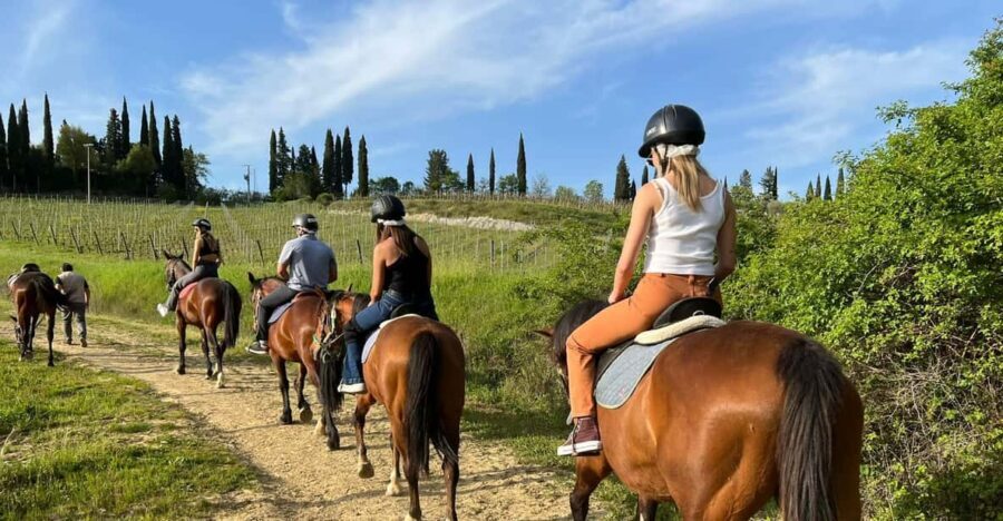 Horseback Riding with Wine Tour from Florence - Analyzing the Value