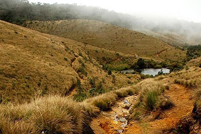 Horton Plains-World's End Tour and Tea Factory Tour From Nuwaraeliya - Introduction