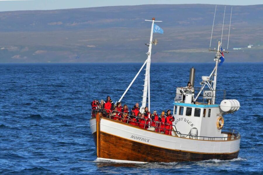 Húsavík: Family-Run and Guided Whale Watching Tour - How the Itinerary Comes Together