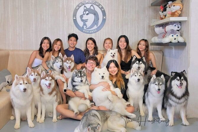 Huskitory Connecting People and Dogs - Key Points
