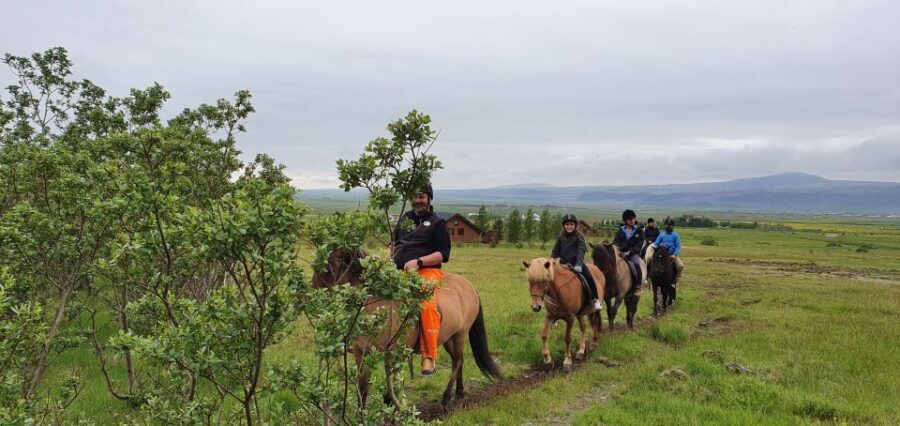 Hveragerdi: Reykjadalur (Hotspring Valley) Horse Riding Tour - Detailed Breakdown of the Itinerary