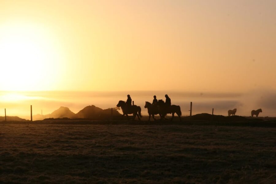 Hveragerdi: The Siggi Horse Riding Tour - Who Is This Tour Best For?