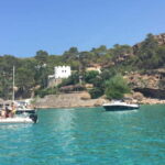 Ibiza: "north of the island" tour from the sea in private boat - Who Is This Tour Best For?