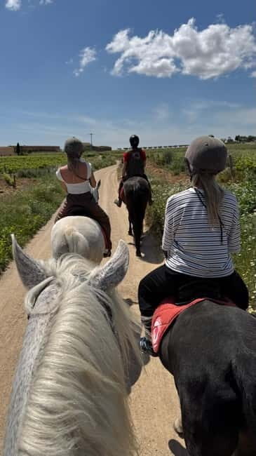 Ibiza: Private Horseback Riding Nature Experience - What to Expect on the Tour