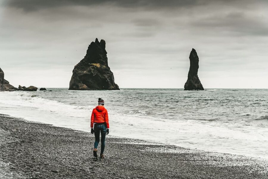 Iceland: Full-Day South Coast, Black Beach & Waterfalls Tour - The Experience: What Travelers Are Saying