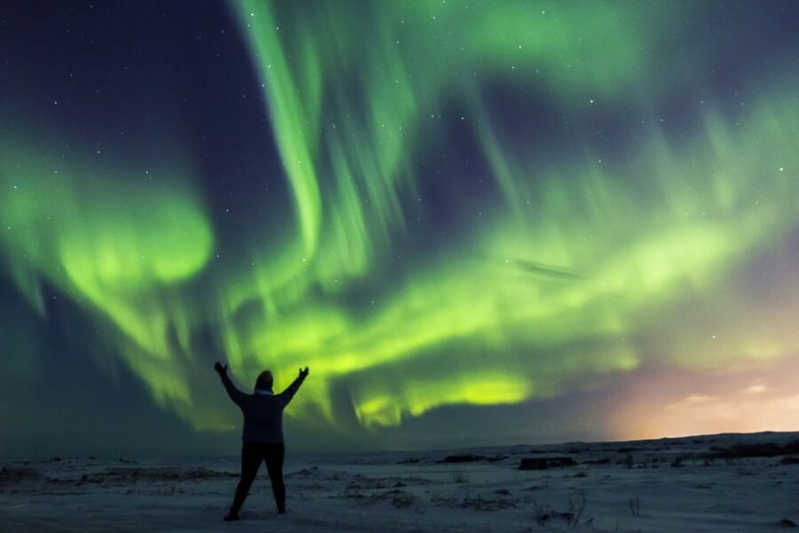 Iceland: Northern Lights Bus Tour from Reykjavik - Who Should Consider This Tour?