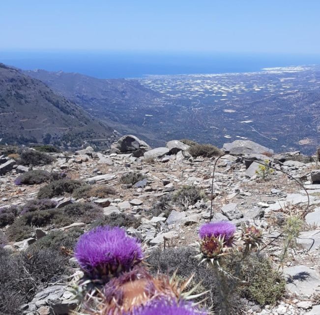 Ierapetra: Eastern Crete Nature Jeep Driving Tour - A Closer Look at the Experience