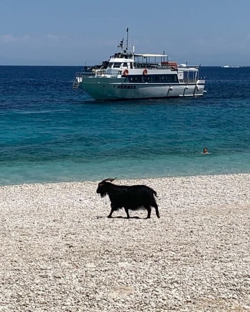 Ihaca boat cruise with swimming and attractions - What’s Included and What to Expect