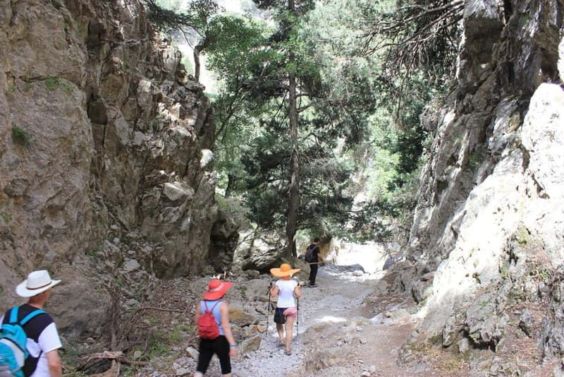 Imbros Gorge, War Museum & Iligas Beach Private Tour - Detailed Breakdown of the Itinerary