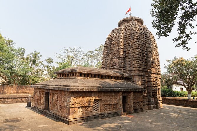 Immersive Bhubaneswar walking tour with professional guide - A Deep Dive into the Bhubaneswar Walking Tour