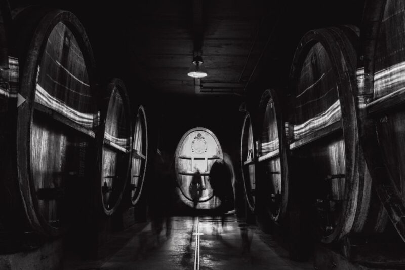 Immersive cellar tour, tasting and board meal - Exploring the Alsace Wine Experience: A Review of the Immersive Cellar Tour, Tasting, and Board Meal