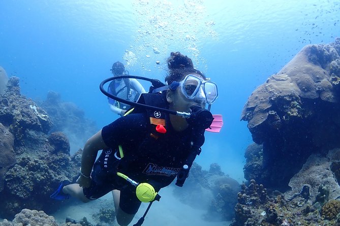 Introductory dive for non-certified divers - Introductory Dive for Non-Certified Divers: A Practical Guide to Your First Underwater Adventure in Koh Samui