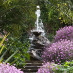 Ischia: La Mortella Gardens Trip with Optional Lunch - Detailed Breakdown of the Itinerary