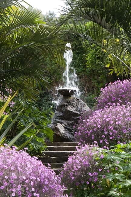 Ischia: La Mortella Gardens Trip with Optional Lunch - Detailed Breakdown of the Itinerary