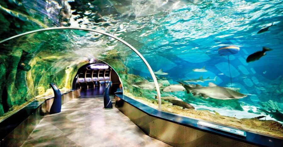 Istanbul Aquarium and Aqua Florya Shopping Mall Tour - What the Reviews Say