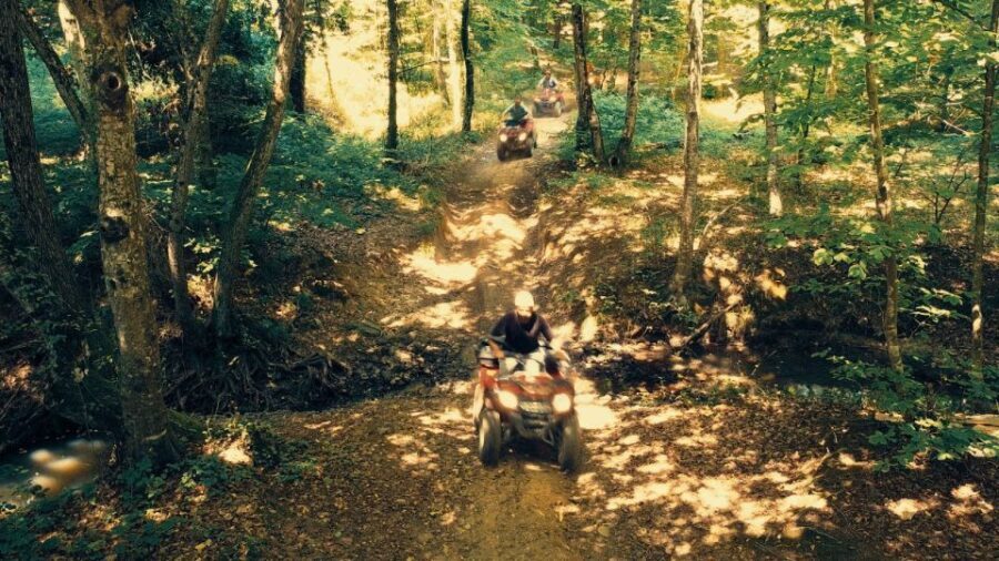 Istanbul: Belgrad Forest ATV Tour with Ziplining Option - The Experience in Detail