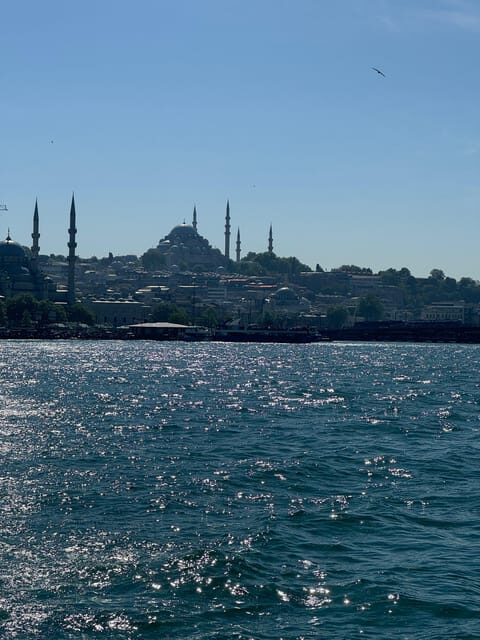 Istanbul: Bosphorus River Sunset Yacht Tour with Commentary - What to Expect on the Tour