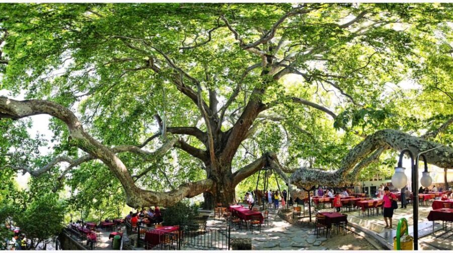Istanbul: Bursa and Uludag Mountain Day Trip with Cable Car - What the Tour Means for You
