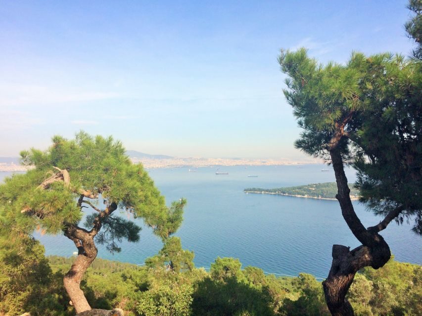 Istanbul: Day Trip to the Princes' Islands - The Practicalities: What to Know Before Booking