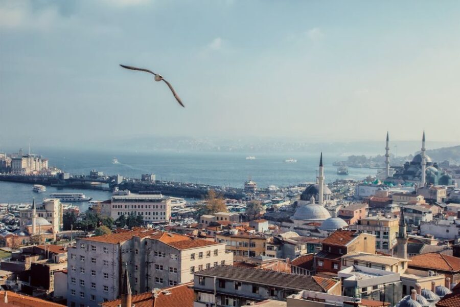 Istanbul: Full Day Private Car - What to Expect During Your Day